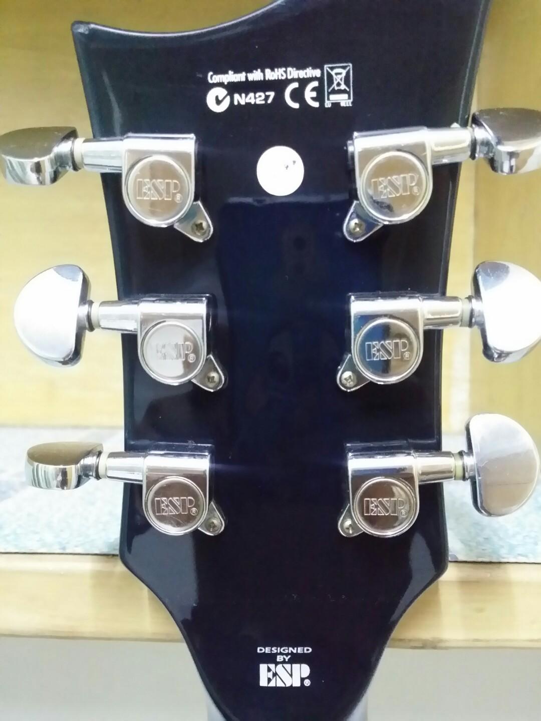 Acoustic Guitar ESP LTD, Hobbies & Toys, Music & Media, Musical ...