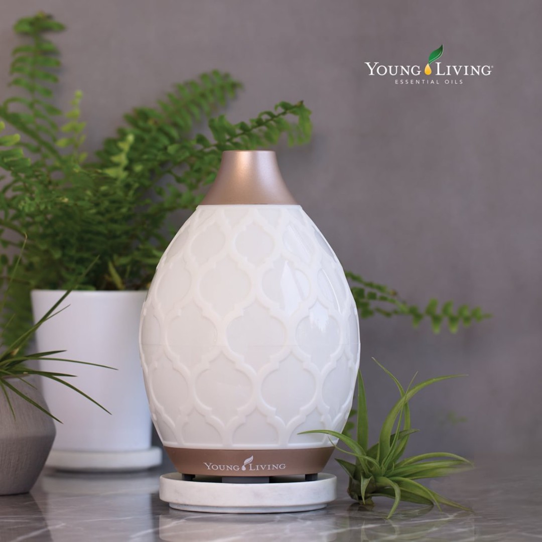 Desert Mist Diffuser w/ 5ml Lavender and 5ml Lemon Essential Oil ...