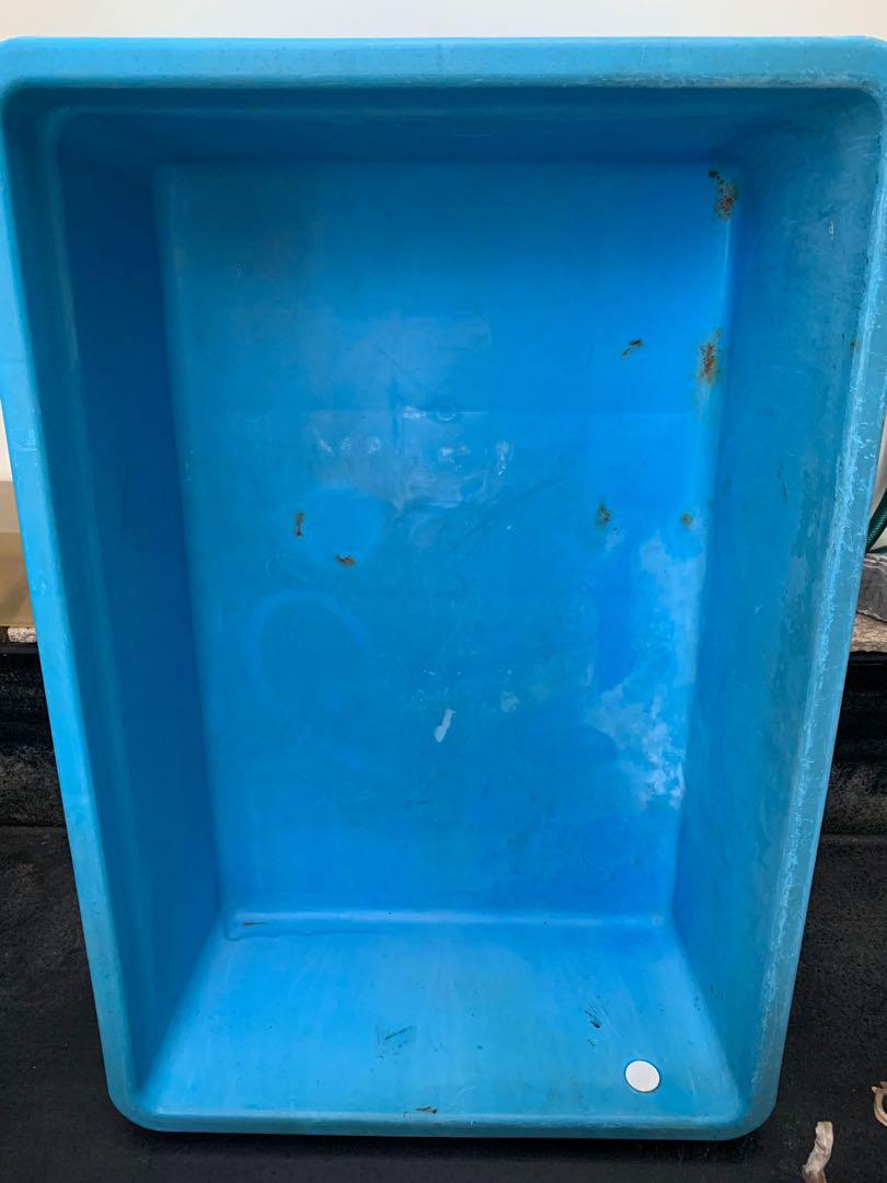 Blue Plastic Fish Tub For Sale, Pet Supplies, Homes & Other Pet ...