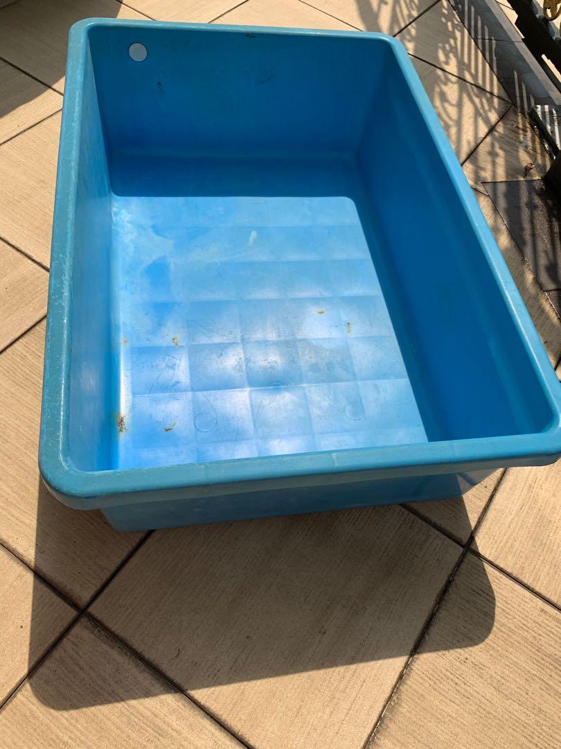 Blue Plastic Fish Tub For Sale, Pet Supplies, Homes & Other Pet ...