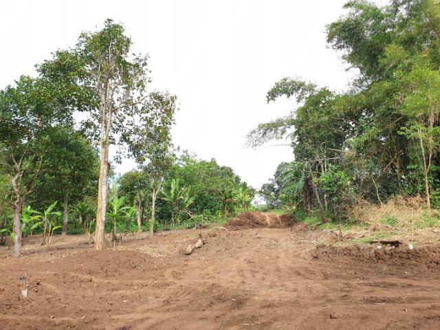 Farm lot near Twin lakes Tagaytay Cavite Cool weather, Property, For Sale, Lot on Carousell