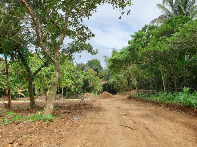 Farm lot near Twin lakes Tagaytay Cavite Cool weather, Property, For Sale, Lot on Carousell
