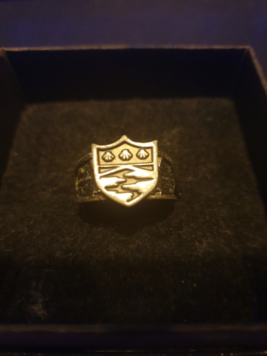 KHR mist guardian ring, Hobbies & Toys, Memorabilia & Collectibles, Fan ...