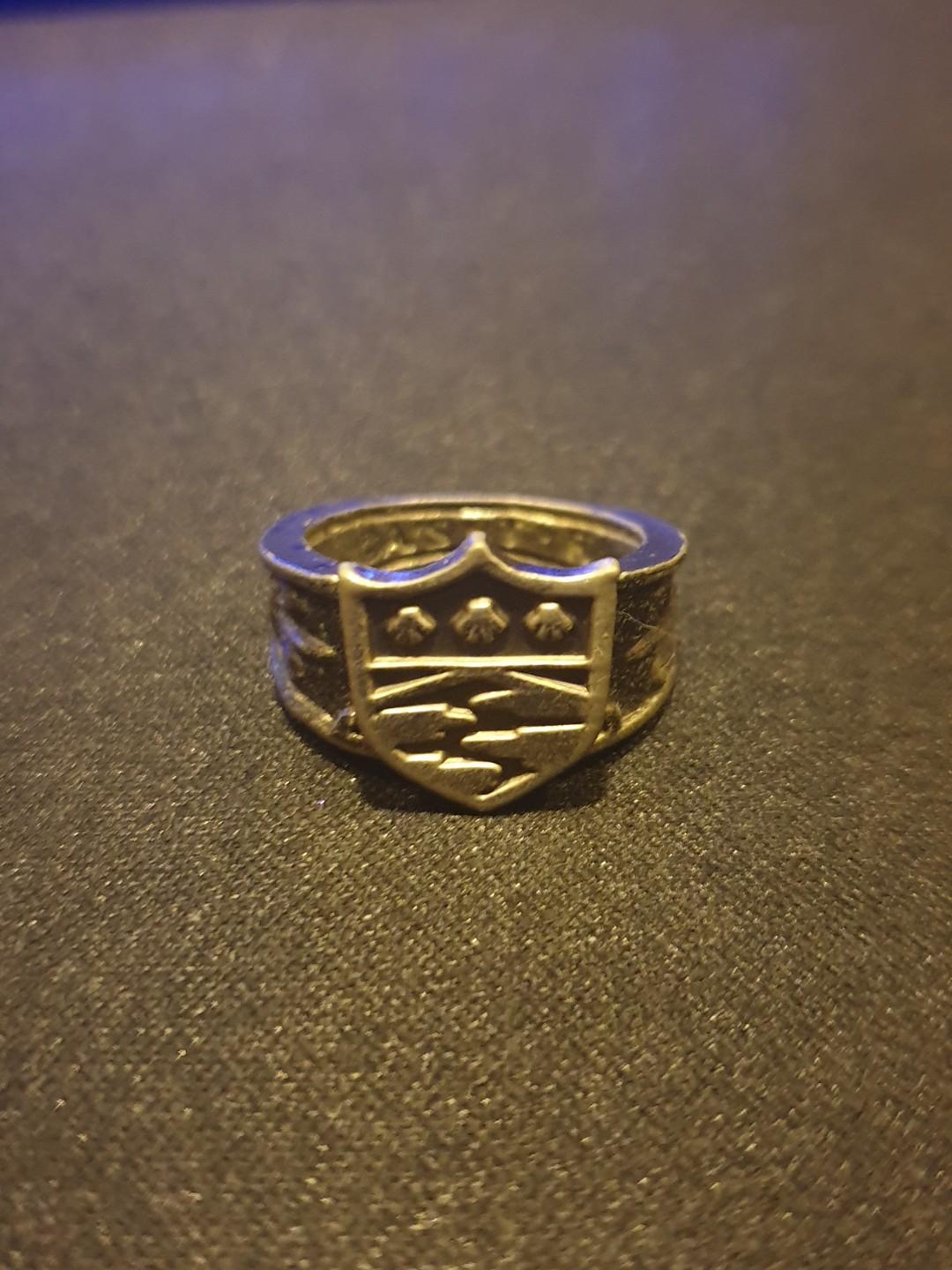 KHR mist guardian ring, Hobbies & Toys, Memorabilia & Collectibles, Fan ...