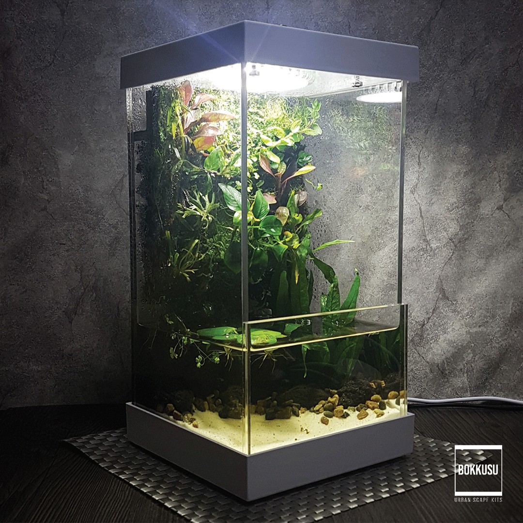 ボックス [BOKKUSU] - Urban Scape Kit - San [パルダリウム] USB Paludarium Kit 05 ...