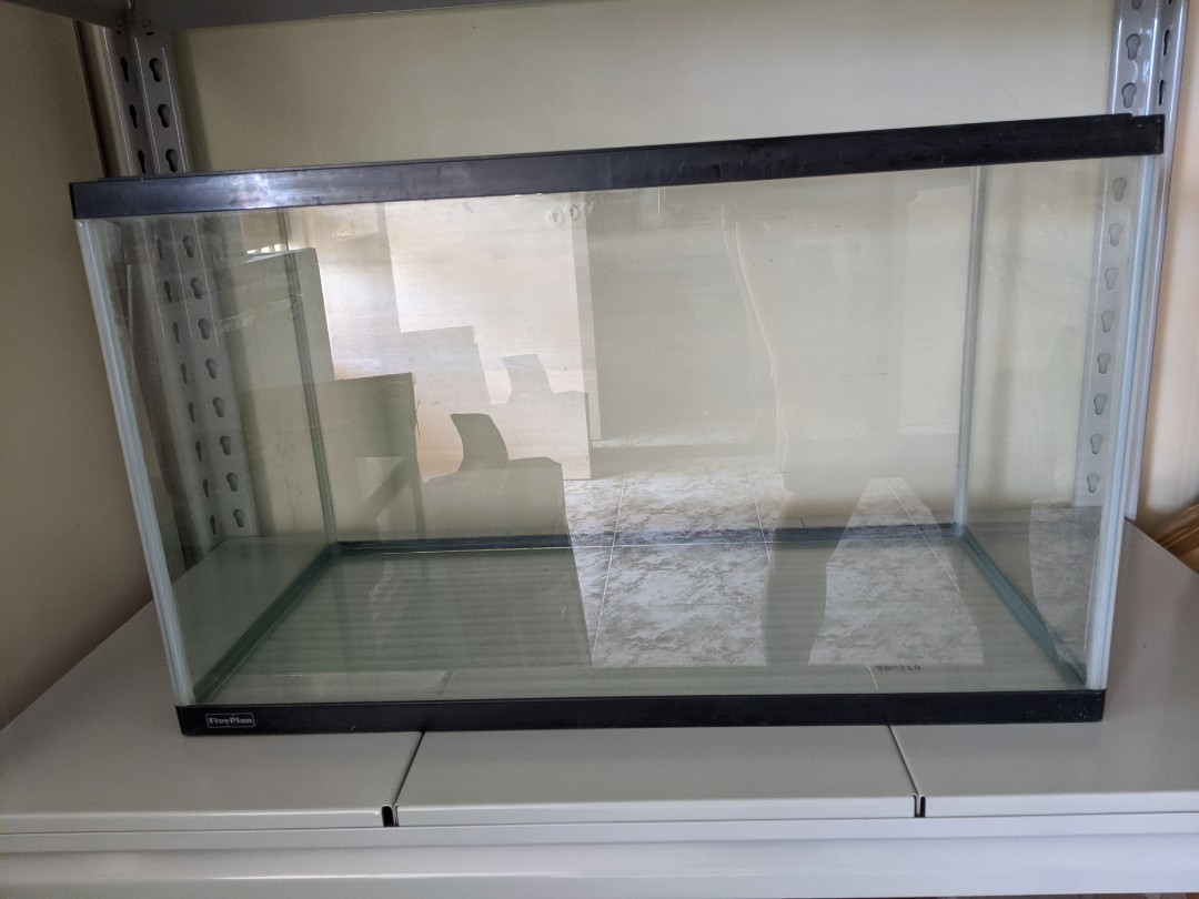 Five Plan 2ft Glass Fish Tank, Pet Supplies, Homes & Other Pet ...