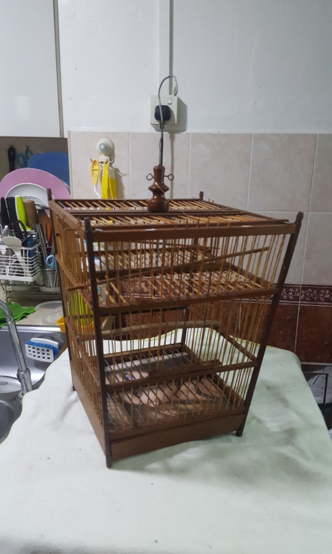 Big size jebak, Pet Supplies, Homes & Other Pet Accessories on Carousell