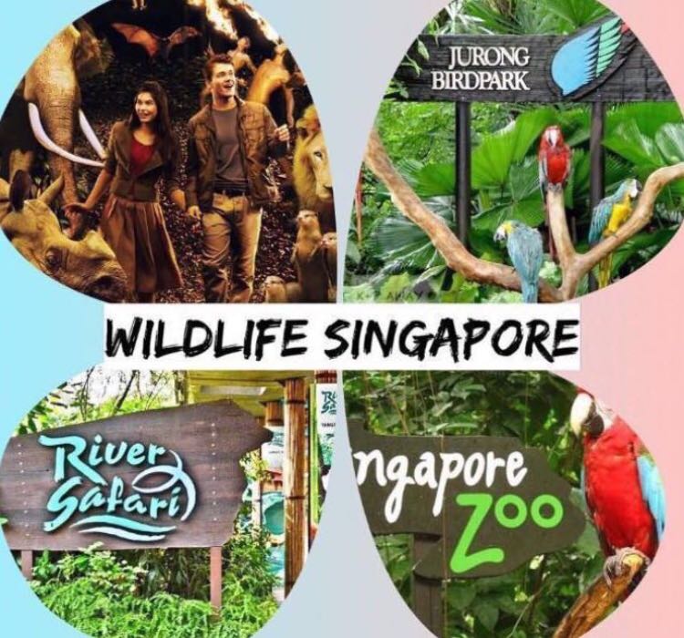 Instant issue Cheapest! Attractions at Zoo Night Sa and fari Jurong ...