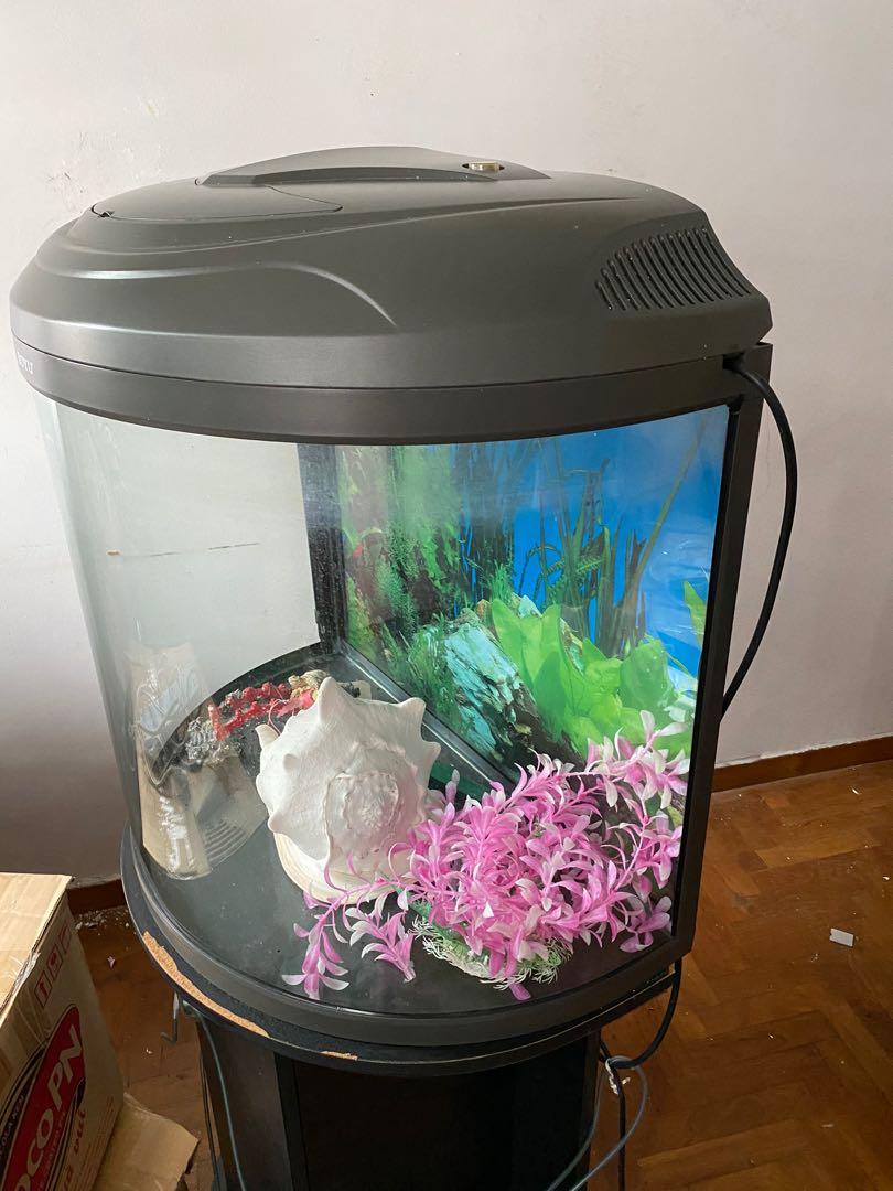 BOYU BYG-86 Aquarium With Cabinet-Fish Tank, Pet Supplies, Homes ...