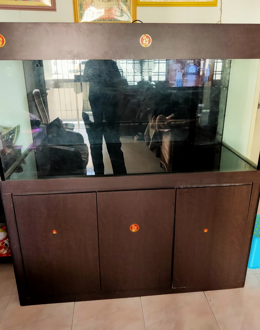 5 feet bare tank by CR aquarium, Pet Supplies, Homes & Other Pet ...