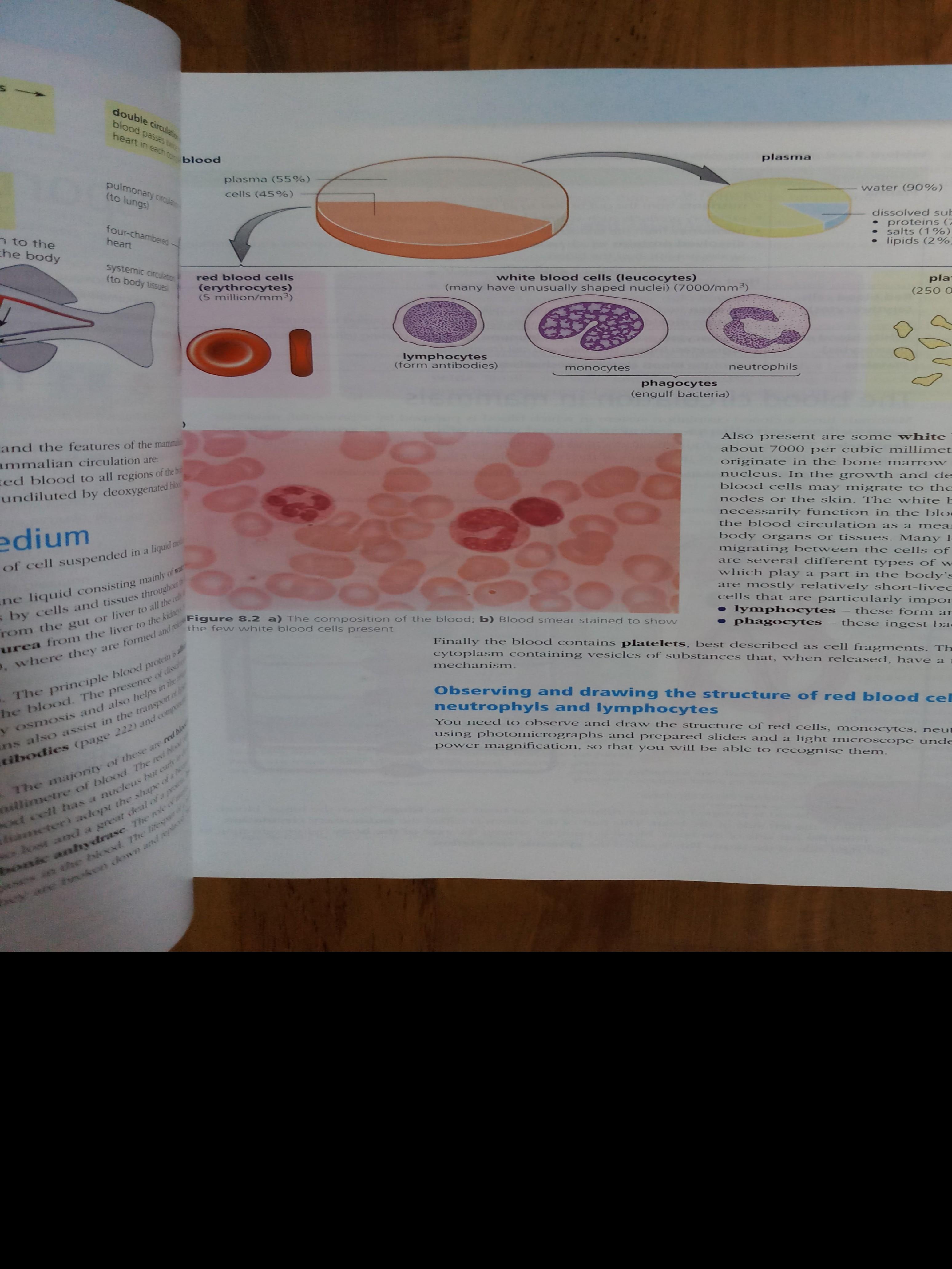 Hodder Biology Textbook (for O and A levels), Hobbies & Toys, Books ...