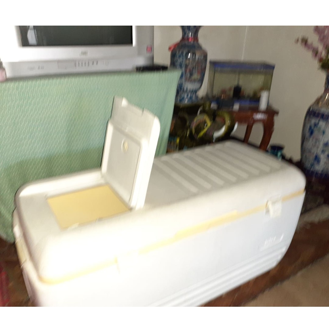 Igloo large ice box, TV & Home Appliances, Kitchen Appliances ...