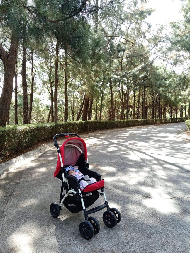 Baby 1st Stroller Mint Condition, Babies & Kids, Going Out, Strollers ...