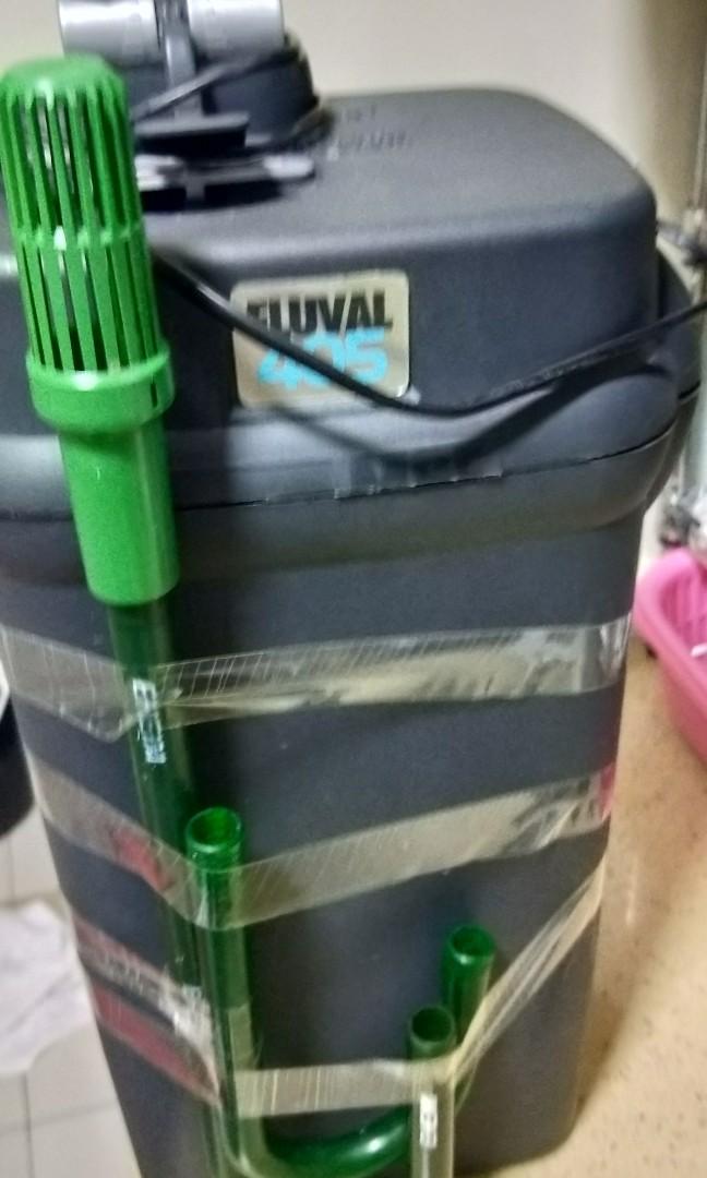 Fluval 405 External canister filter, Pet Supplies, Homes & Other Pet ...