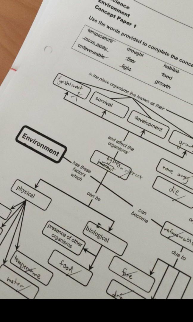 PSLE Science notes, mindstretcher 2019., Books & Stationery, Textbooks ...