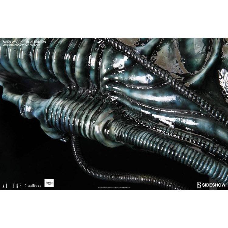Alien Warrior (Blue Edition) Life-Size Head Prop Replica by CoolProps ...