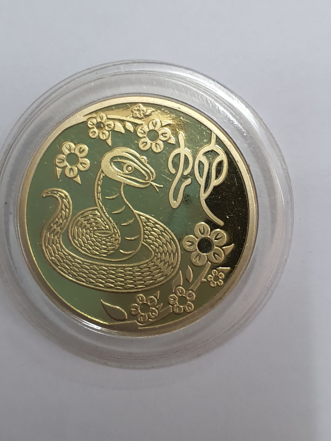 Gold Snake Coin, Women's Fashion, Jewelry & Organisers, Necklaces on ...