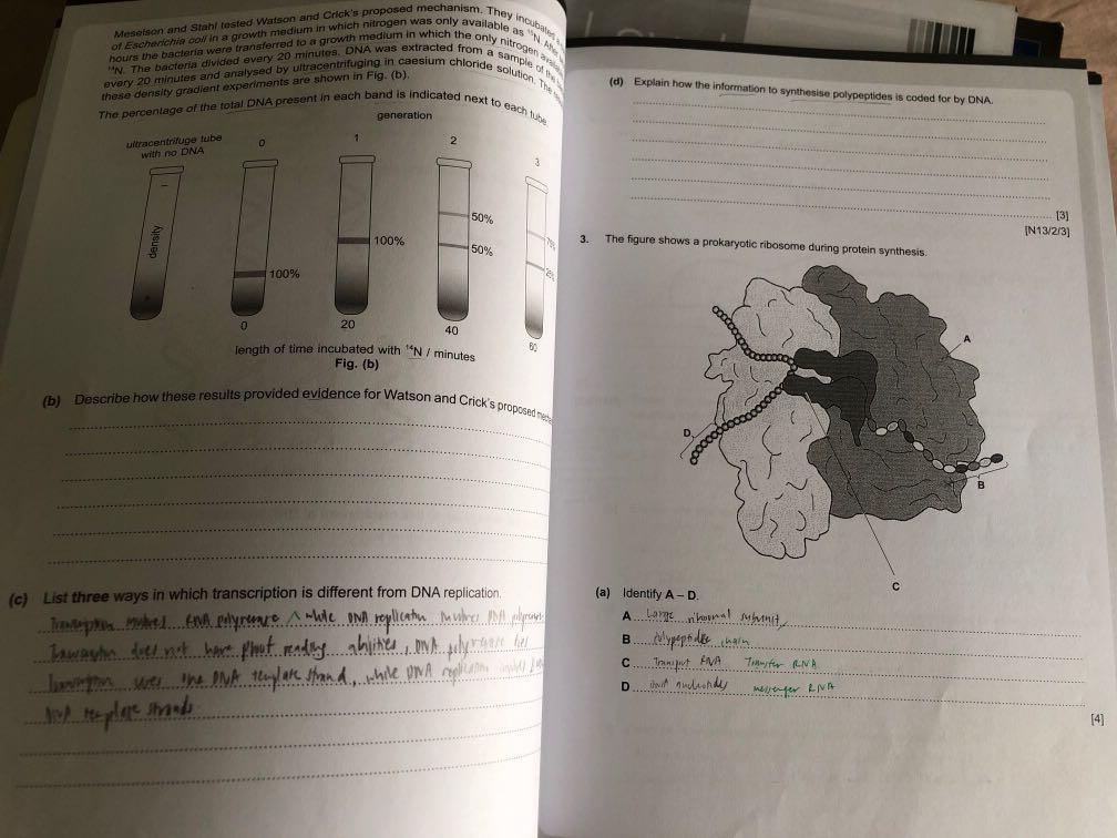 ALEVEL BIO TYS, Hobbies & Toys, Books & Magazines, Assessment Books on ...