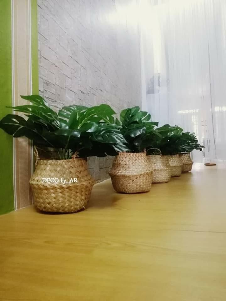 Daun deco rumah, Furniture & Home Living, Furniture, Sofas on Carousell