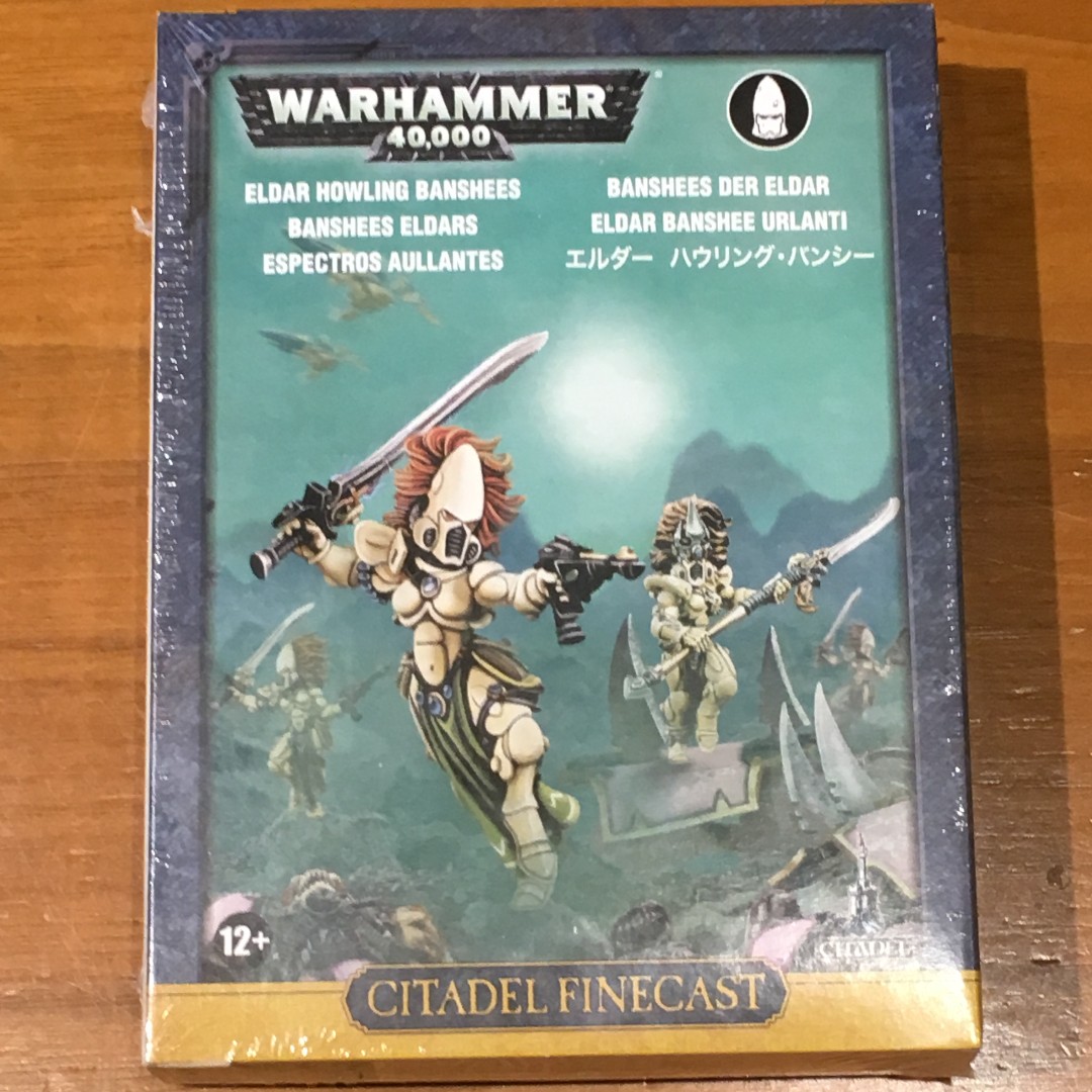 Eldar / Aeldari Howling Banshees Aspect Warrior Box (Citdael Finecast ...
