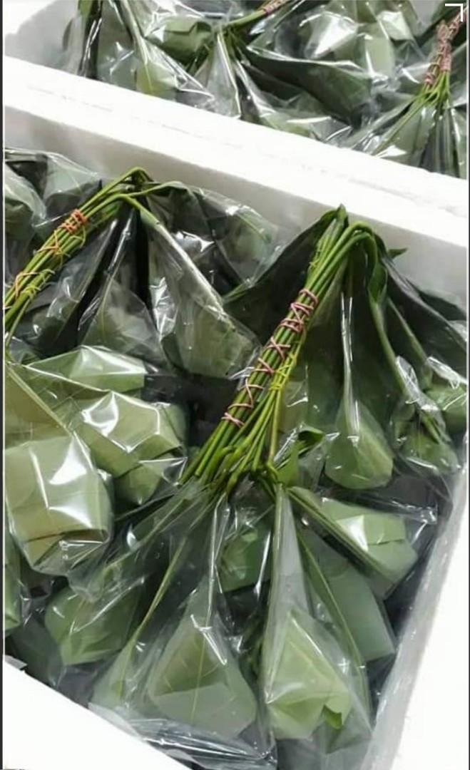 TAPAI PULUT DAUN GETAH [RUBBER LEAF-WRAPPED FERMENTED SWEET STICKY RICE ...