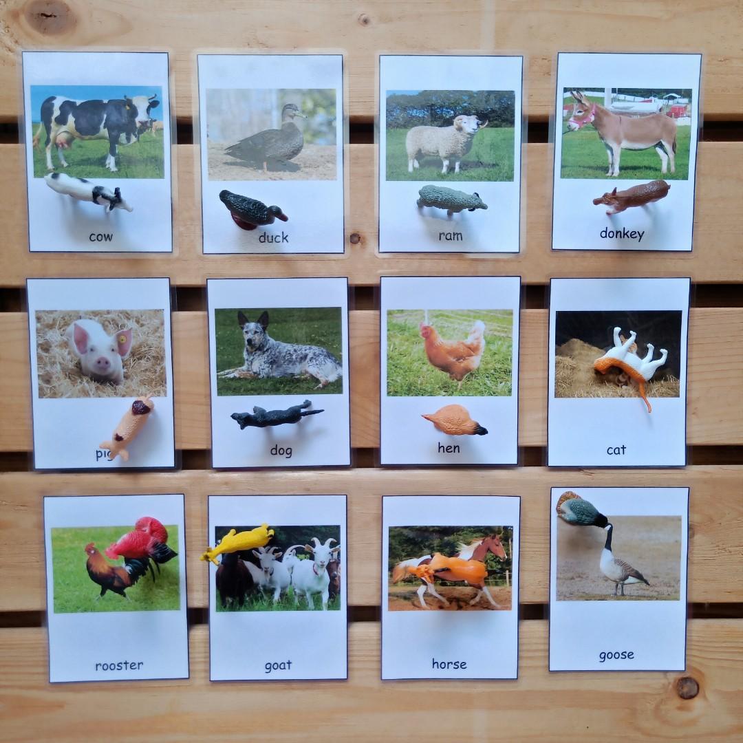 Montessori 3 Part Cards - Matching Farm Animals Gift Present, Hobbies ...