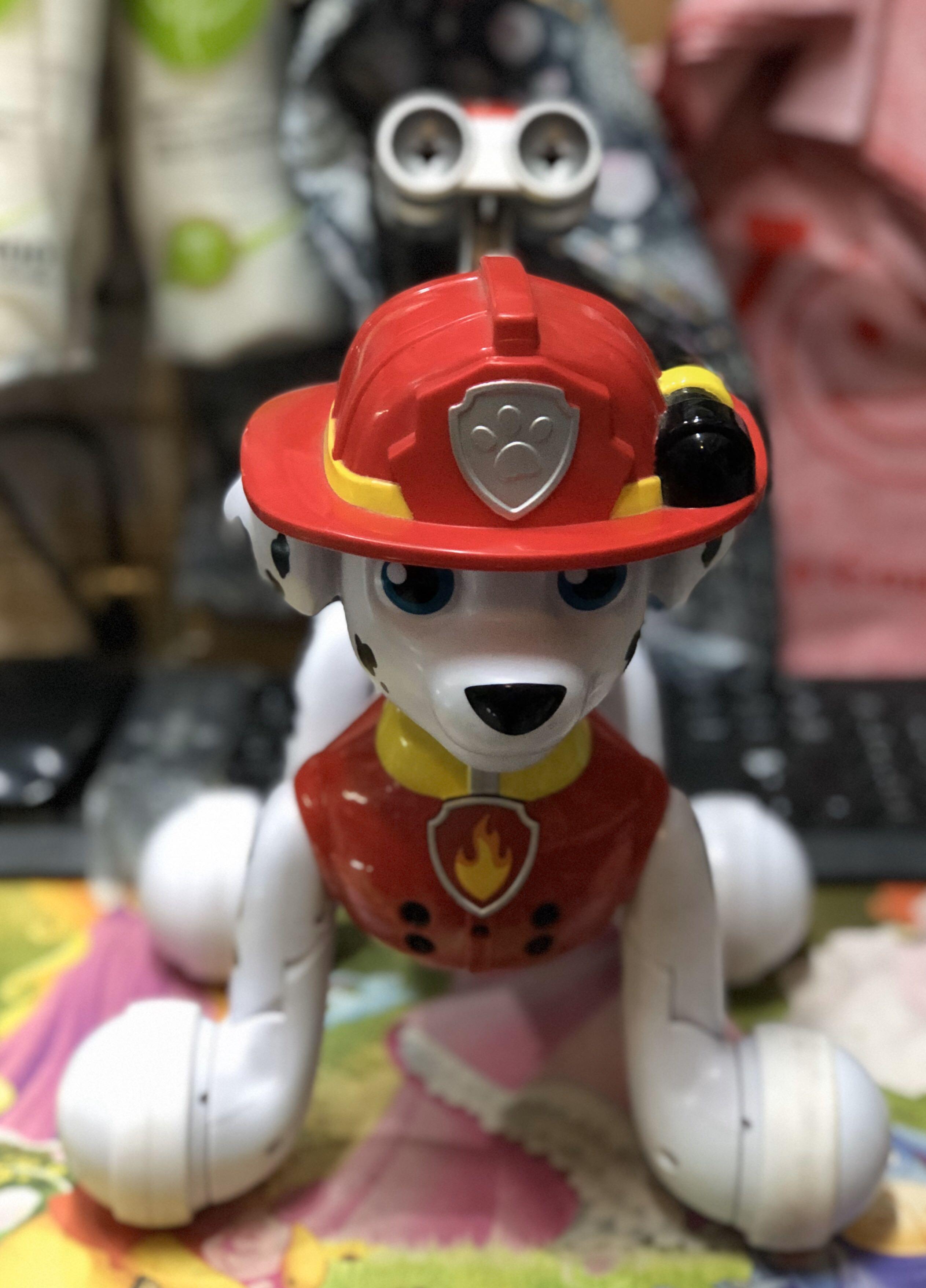 Paw Patrol Zoomer Marshall Interactive Pup, Babies & Kids, Infant ...