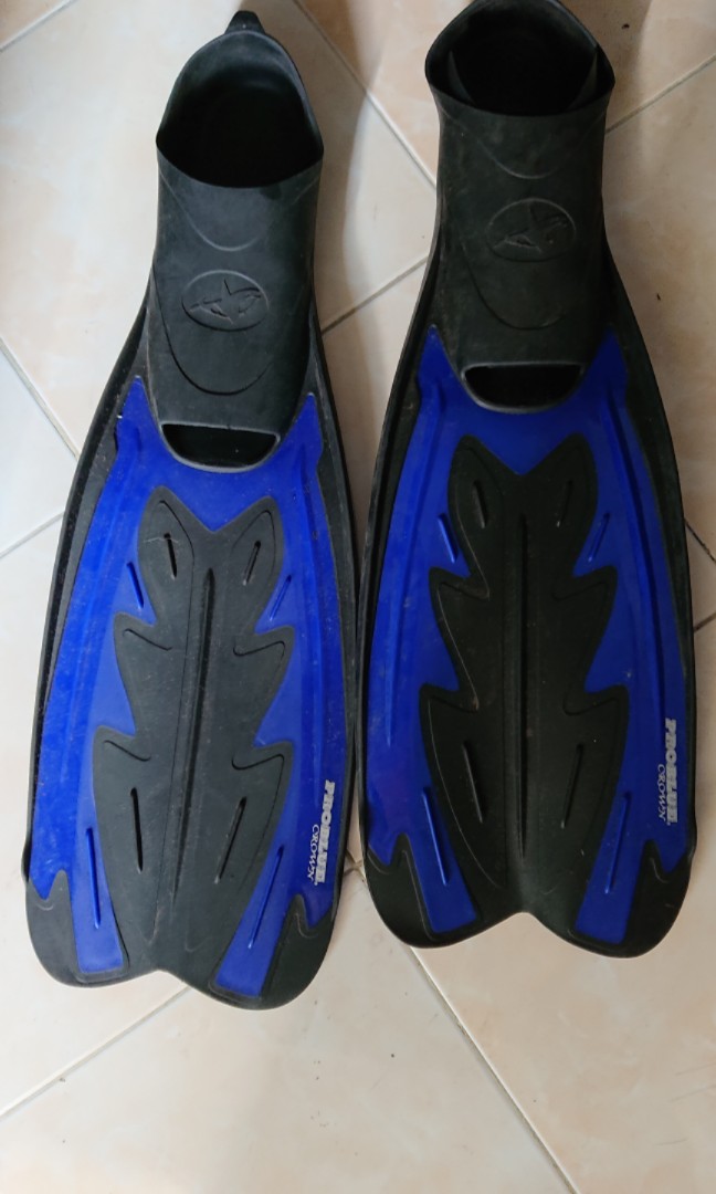 Pro Blue Crown Flippers, Sports Equipment, Sports & Games, Water Sports ...