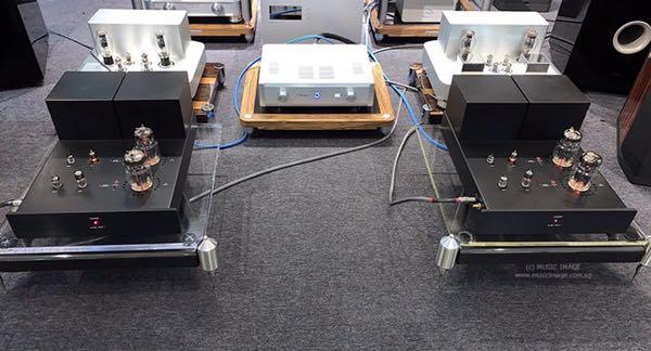 Lamm ML2.1 monoblock power amplifier (price reduced), Audio, Other ...