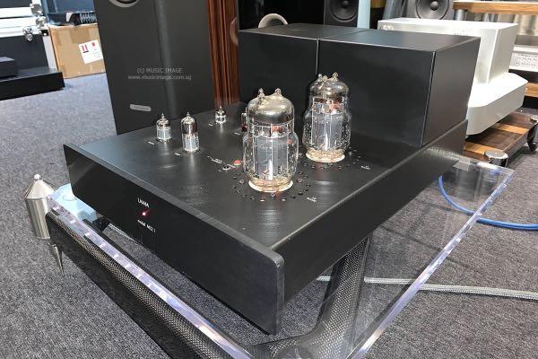 Lamm ML2.1 monoblock power amplifier (price reduced), Audio, Other ...