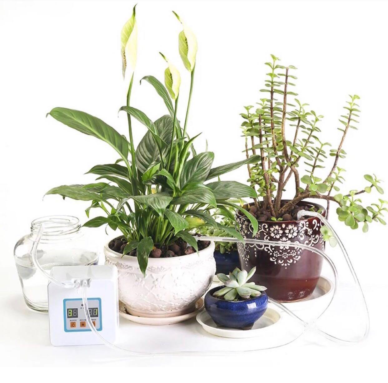 Auto timer watering system: Gardening Terrarium . Automatic Drip ...