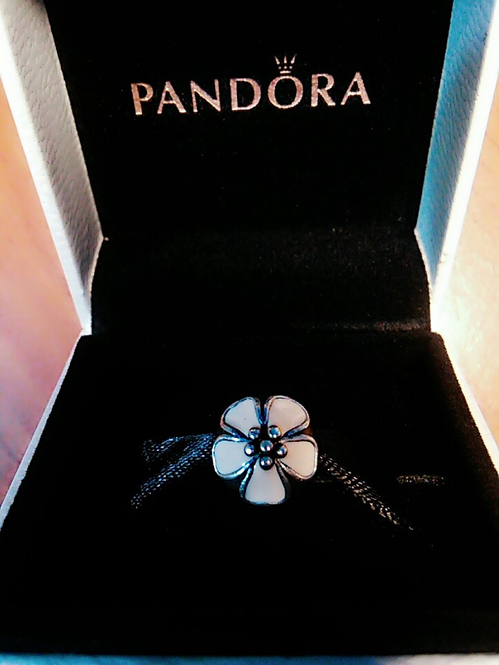Pandora Cherry Blossom Locket, Women's Fashion, Jewelry & Organizers ...