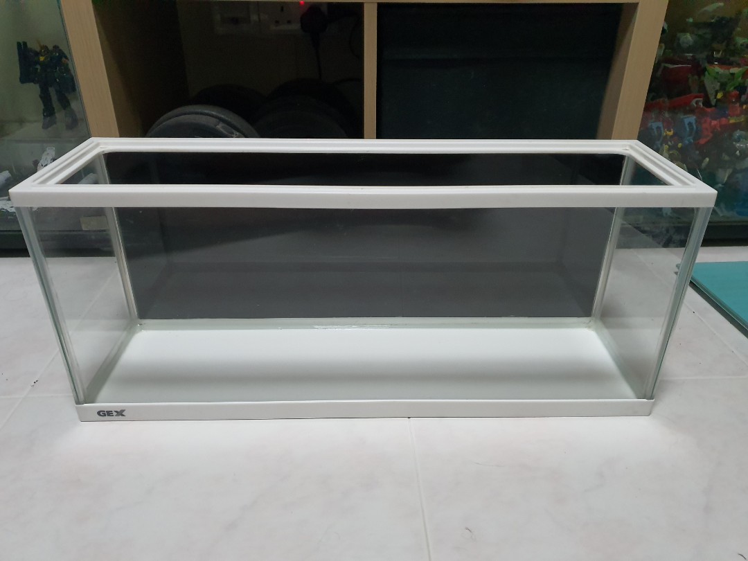 GEX Desk Boy White 600 (Used), Pet Supplies, Homes & Other Pet Accessories on Carousell