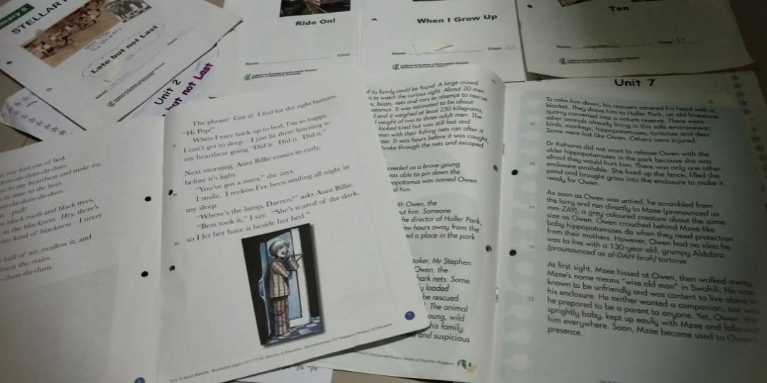 P5 Stellar reader with worksheet (used), Hobbies & Toys, Books ...