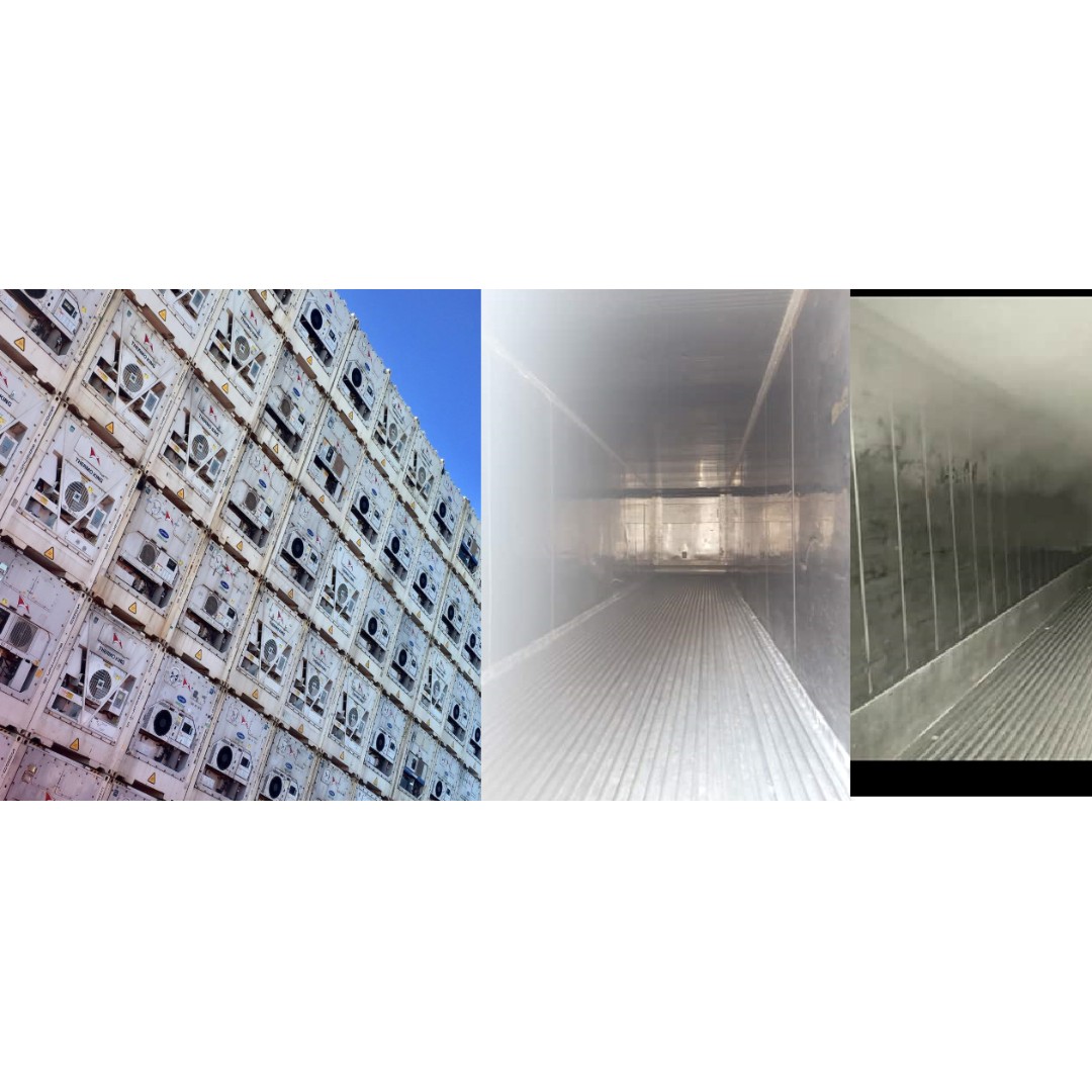 REEFER / REFRIGERATED CONTAINER VAN, Looking For on Carousell