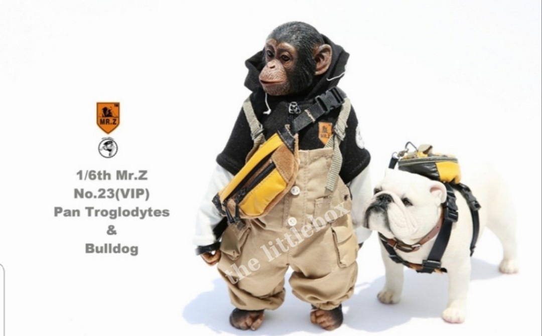 [LAST STOCK] 1/6 Scale Pan-Kun Bulldog James Animals cute animals ...