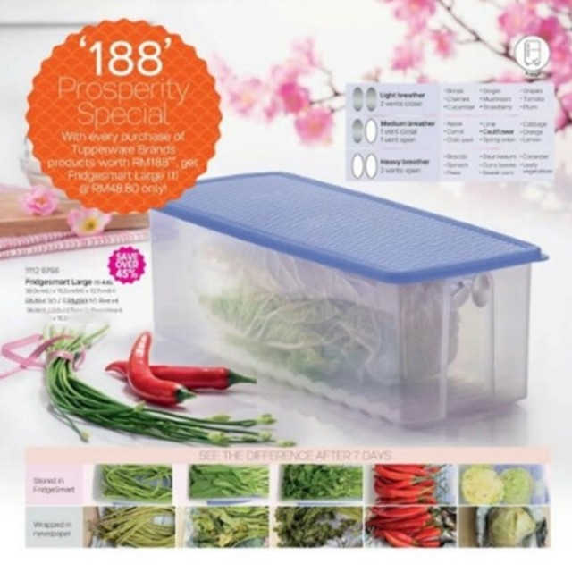 Tupperware fridgesmart 4.6L, TV & Home Appliances, Kitchen Appliances, Refrigerators & Freezers ...