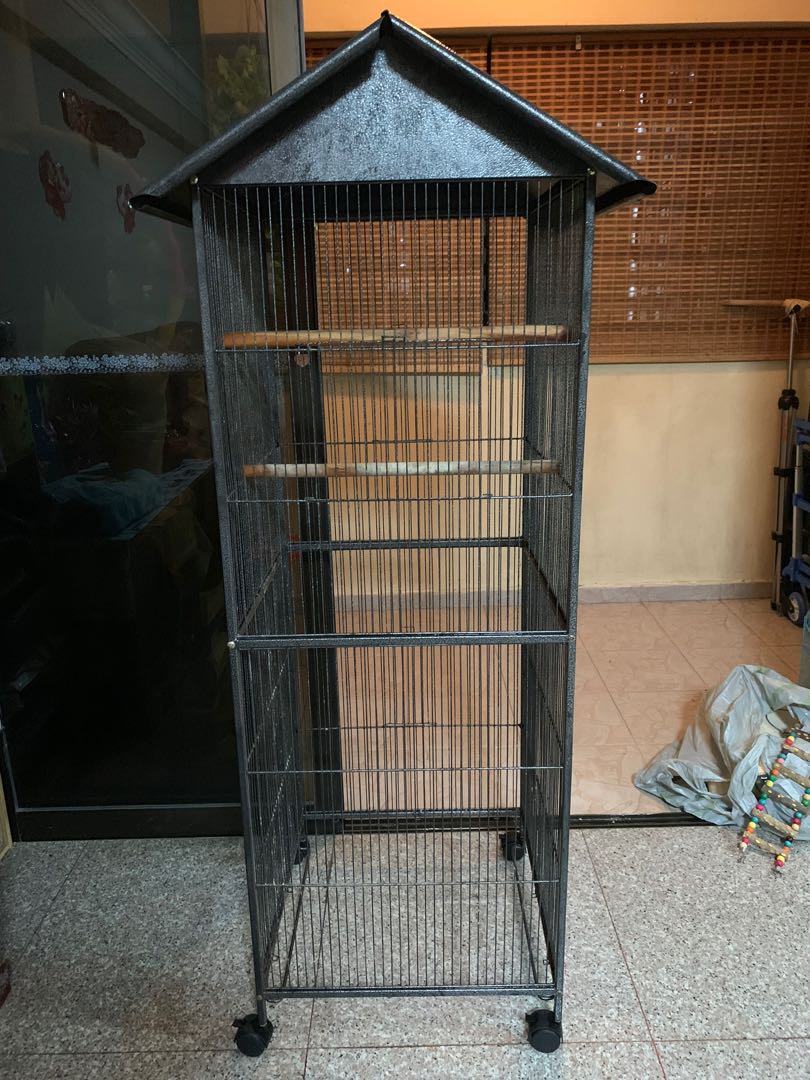 Sturdy Bird cage, Pet Supplies, Homes & Other Pet Accessories on Carousell