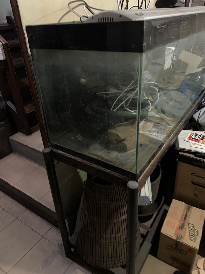 Aquarium with Stand - (from paco, manila), Pet Supplies, Homes & Other ...