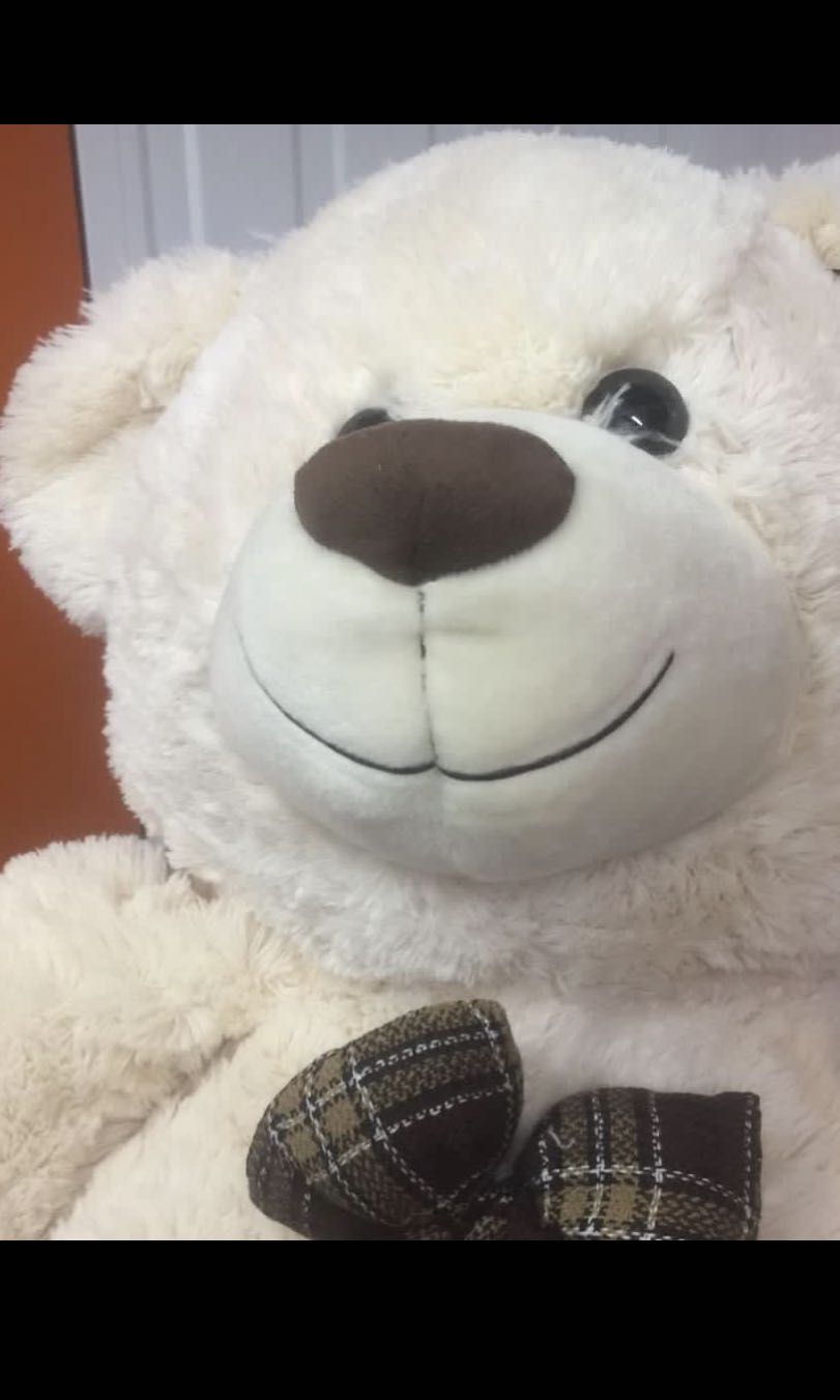 PAWS Teddy Bear, Hobbies & Toys, Toys & Games on Carousell