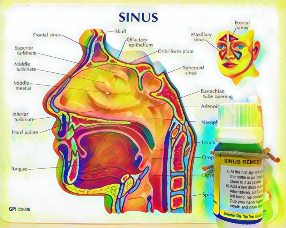 Sinus Remedy, Beauty & Personal Care, Face, Face Care on Carousell
