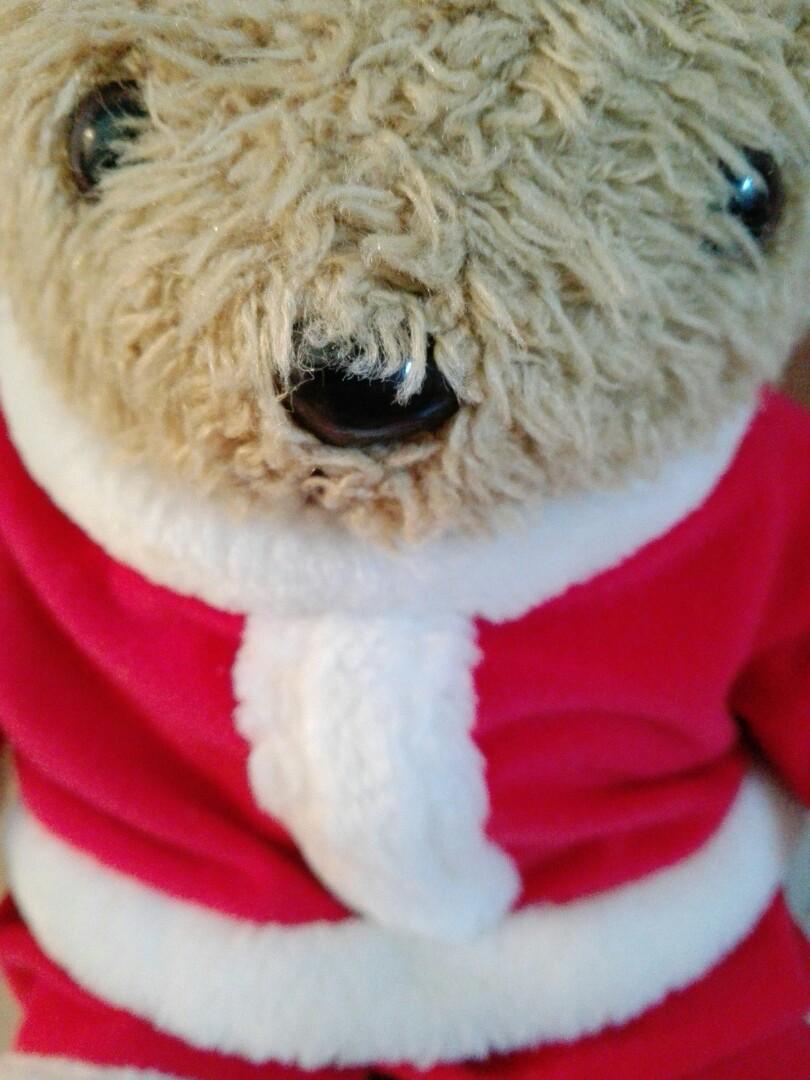 Ritz Carlton Hong Kong, Santa Bear, Hobbies & Toys, Collectibles ...