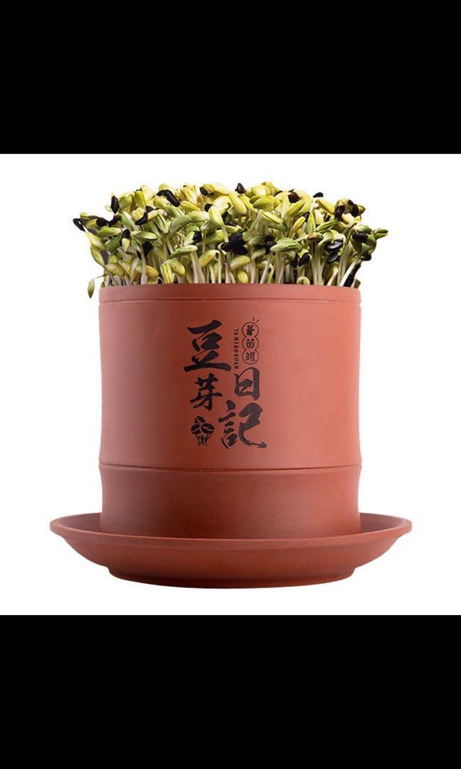 Ceramic Bean Sprouter, Furniture & Home Living, Gardening, Pots ...