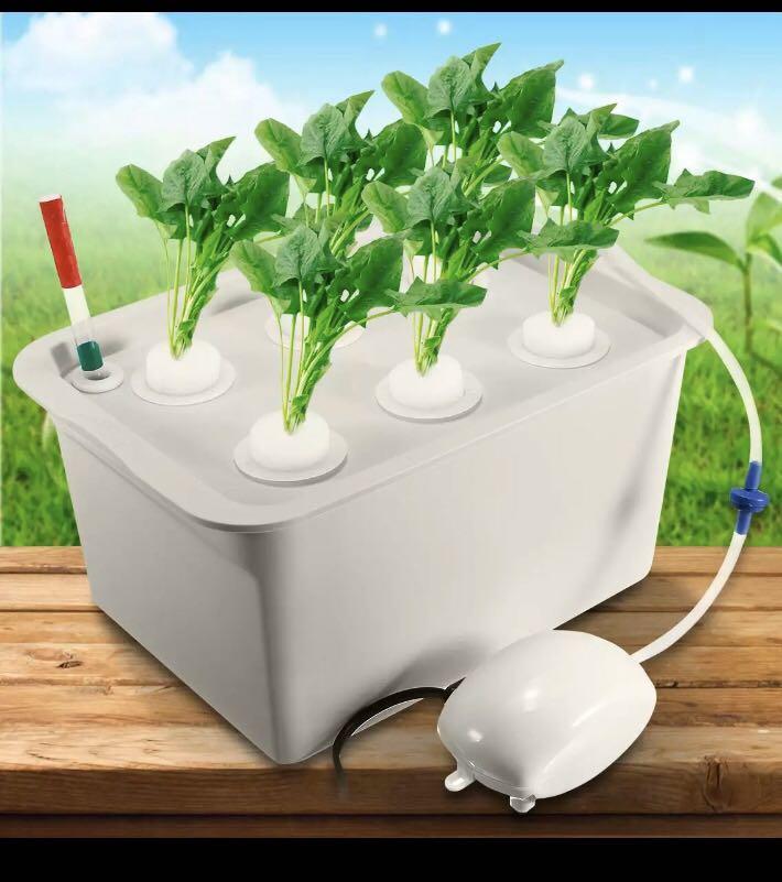 Mini Hydroponic system, Furniture & Home Living, Gardening, Gardening ...