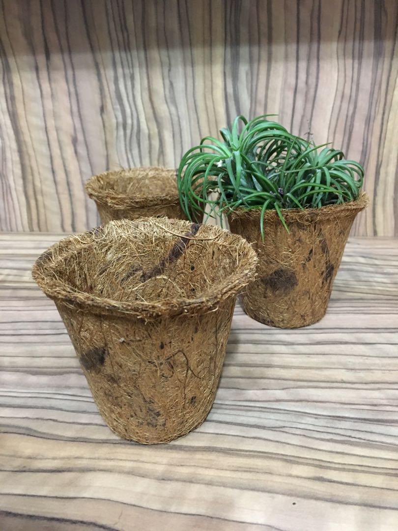 Set of 3 coir pots, Furniture & Home Living, Gardening, Pots & Planters ...