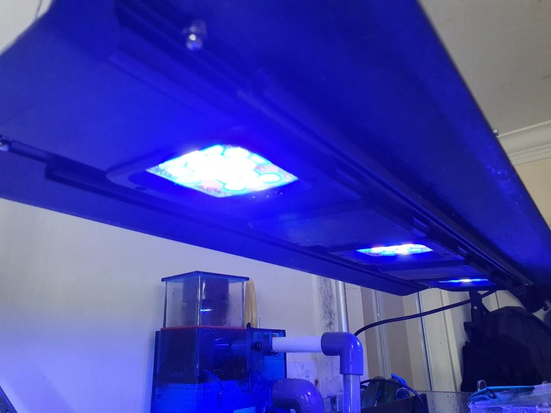 Maxspect RSX R5 150w, Pet Supplies, Homes & Other Pet Accessories on ...