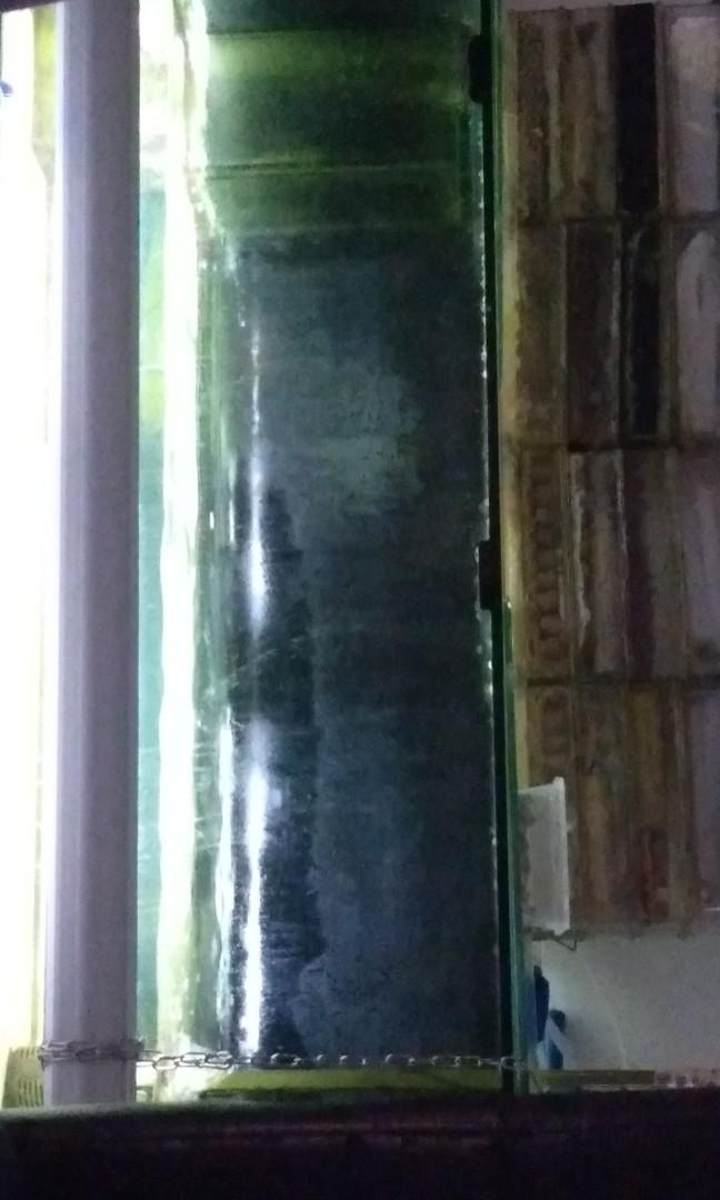 5ft PLL Tanning light, Pet Supplies, Homes & Other Pet Accessories on ...