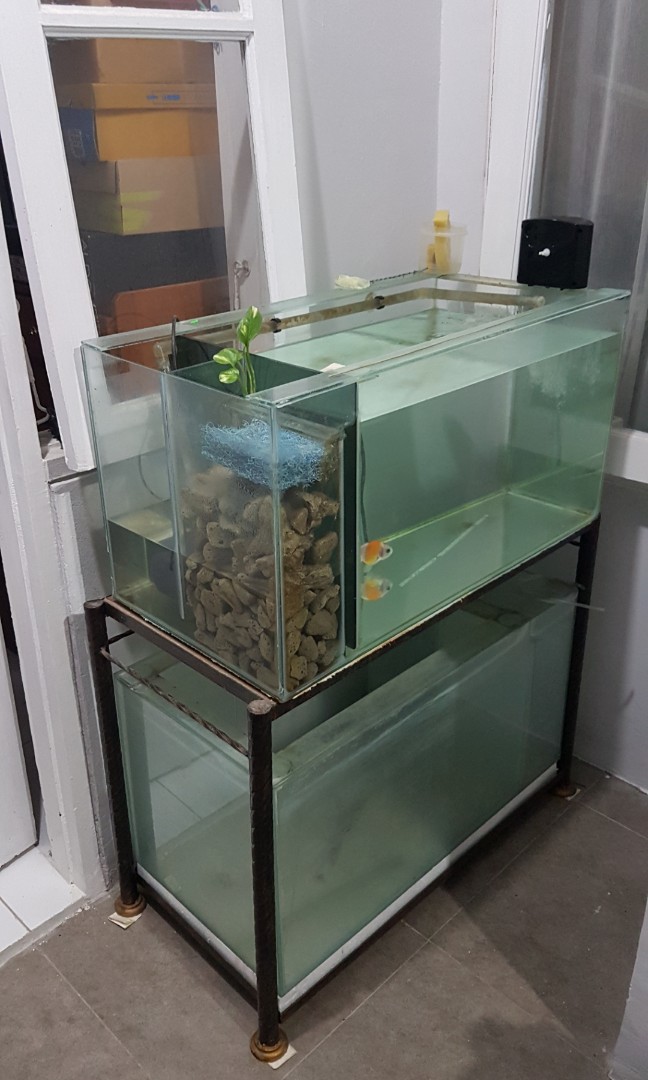 AQUARIUM FILTER SAMPING 80X40X40, Perlengkapan Hewan, Aksesoris Hewan ...