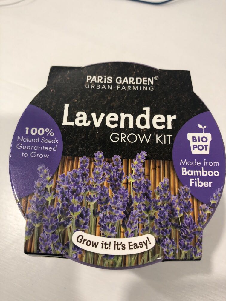 Lavender grow kit, Furniture & Home Living, Gardening, Plants & Seeds ...