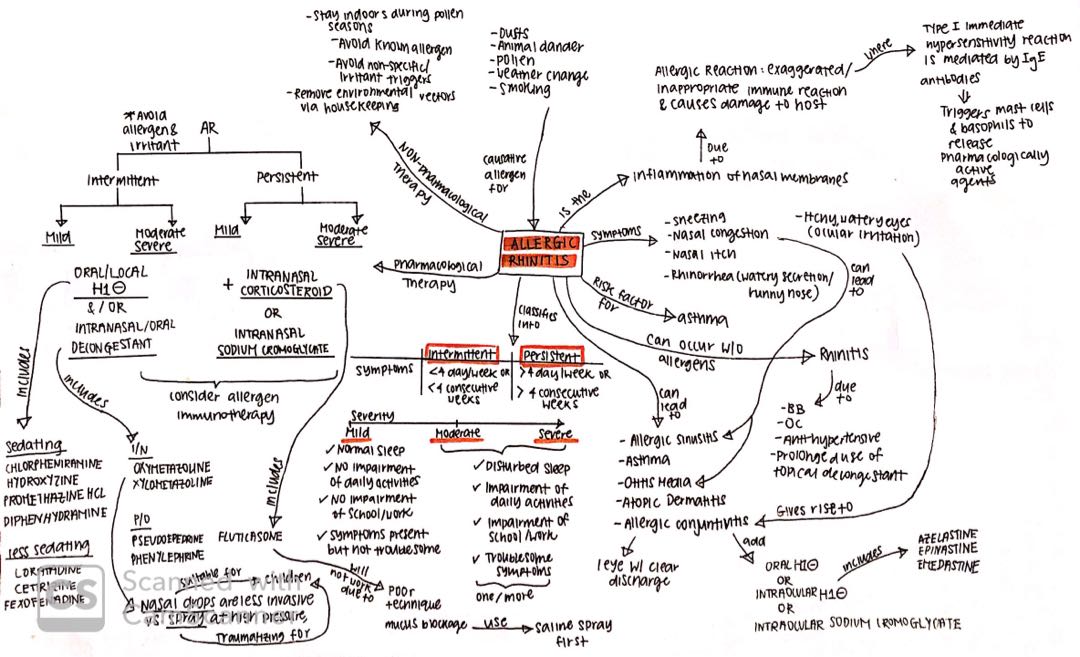 Republic poly notes, Hobbies & Toys, Books & Magazines, Assessment ...